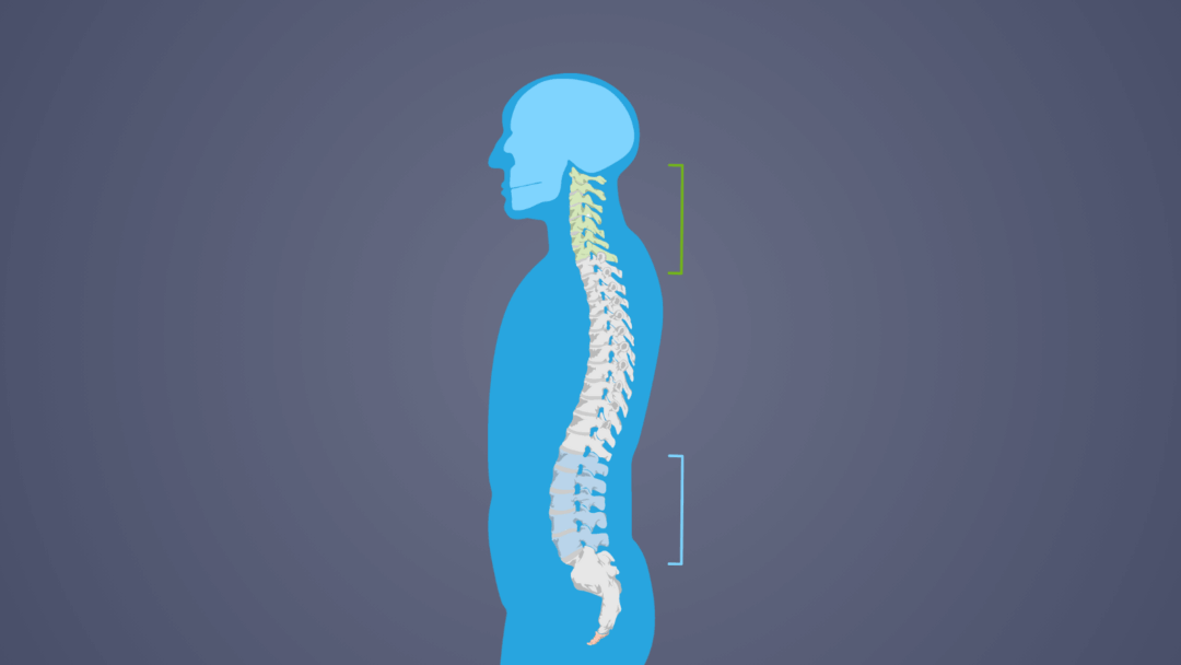How Spinal Stenosis Is Diagnosed And Treated New Jersey Brain And Spine 6038